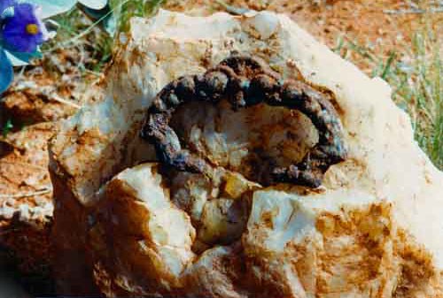 James HOWIE - Western Australian Virtual Miners Memorial