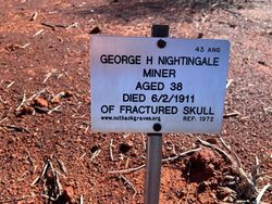 George Henry NIGHTINGALE - Western Australian Virtual Miners Memorial