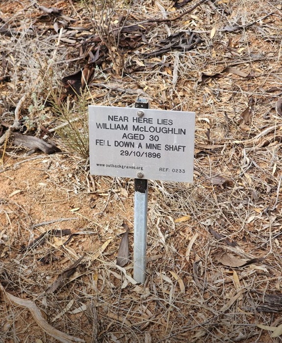 William Patrick McLOUGHLIN - Western Australian Virtual Miners Memorial